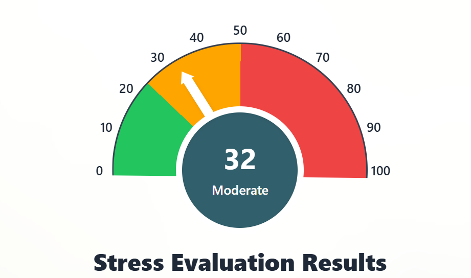 Stress Meter: Measure and Understand Your Stress Levels